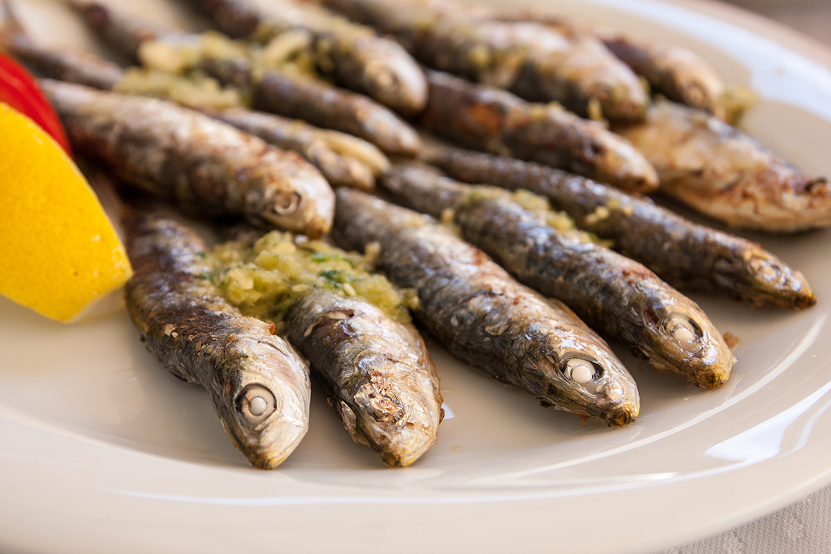 What to eat at a Greek “Psarotaverna”: Greek fish explained - Astir ...