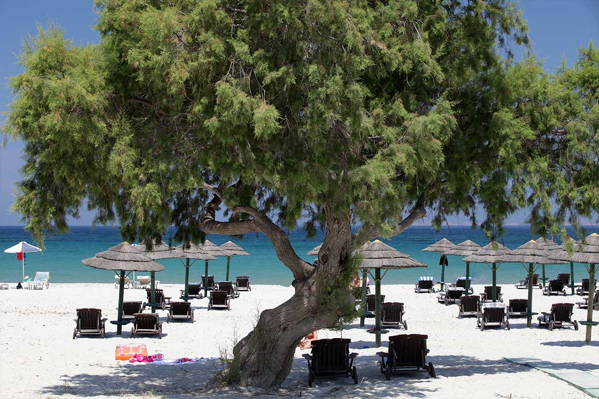 Five Famous Beaches on Kos Island - Astir Odysseus Blog
